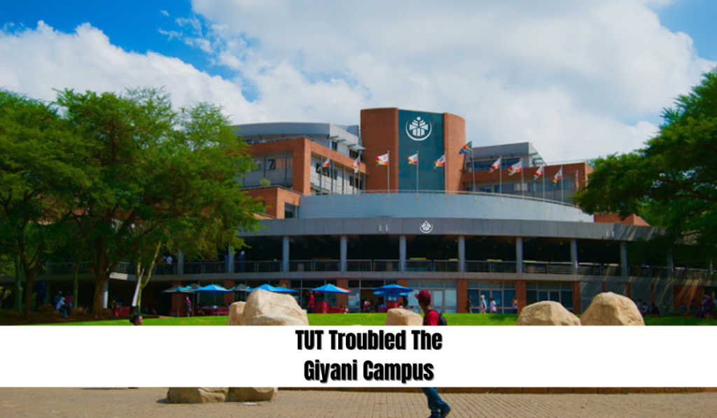 TUT Courses And Requirements For 2025